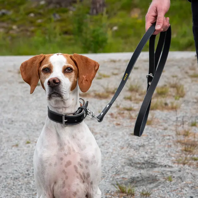 Hundekobbel m/ låsekrok 144 cm - Svart M/ Dring - Gustavsen